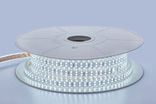 Ruban LED chantier 180 LEDs / mètre - Foussier